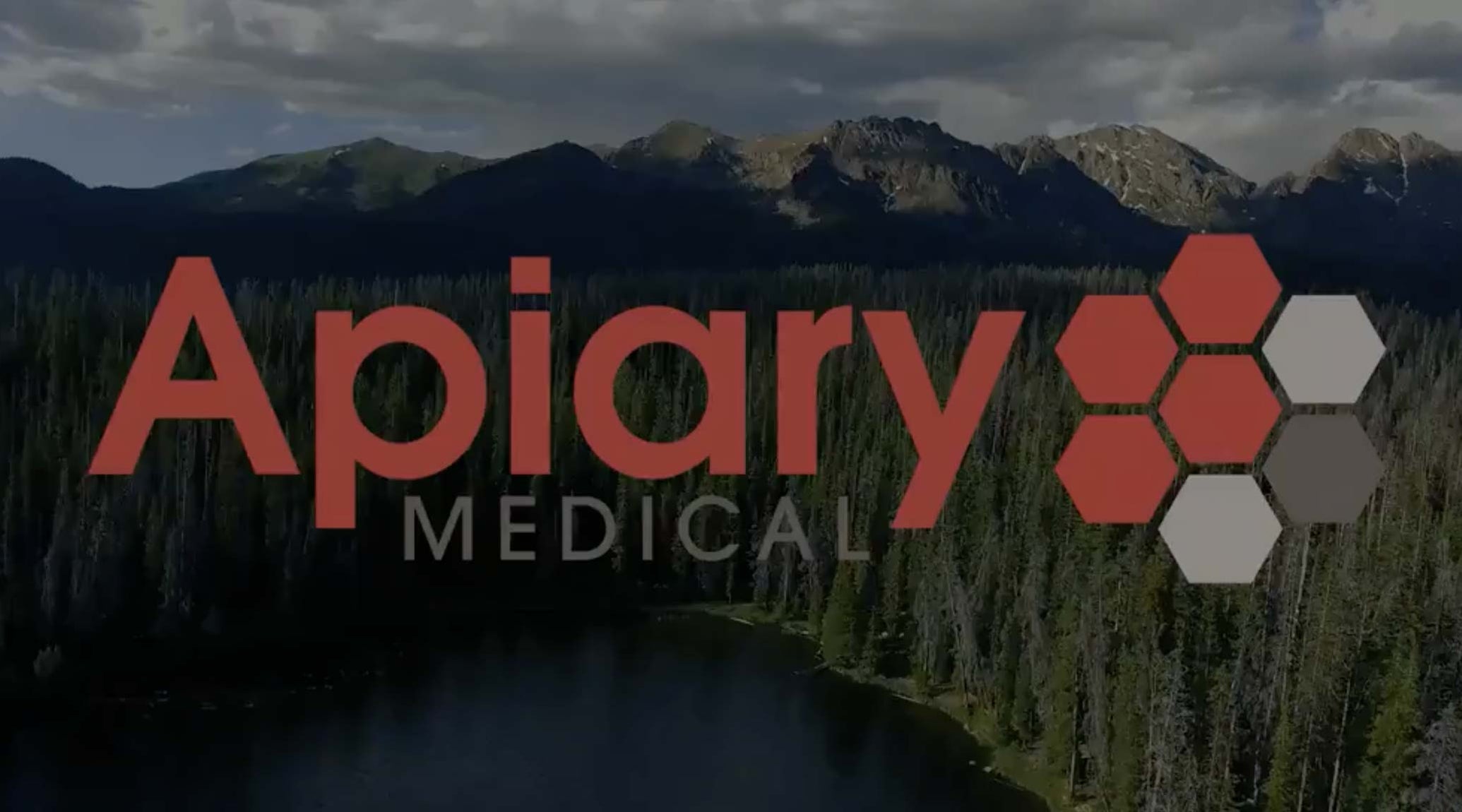 Precision Surgical Instruments & Tools Suppliers | Apiary Medical ...